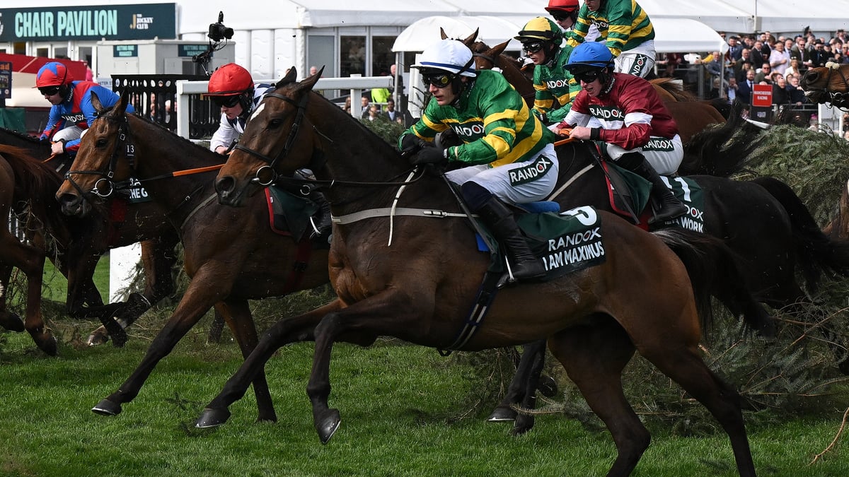 Grand National Odds Updated 5.4.25 at 1:00pm