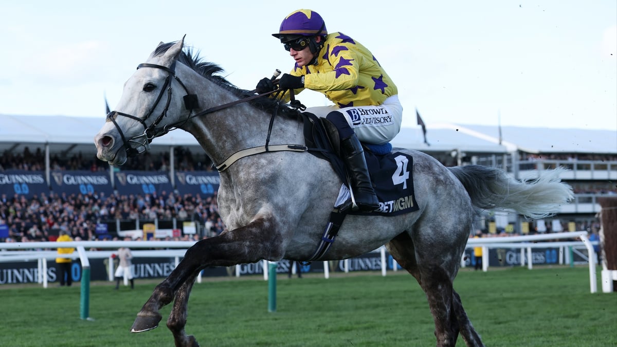 Cheltenham Day 2 2026: News, photos and results