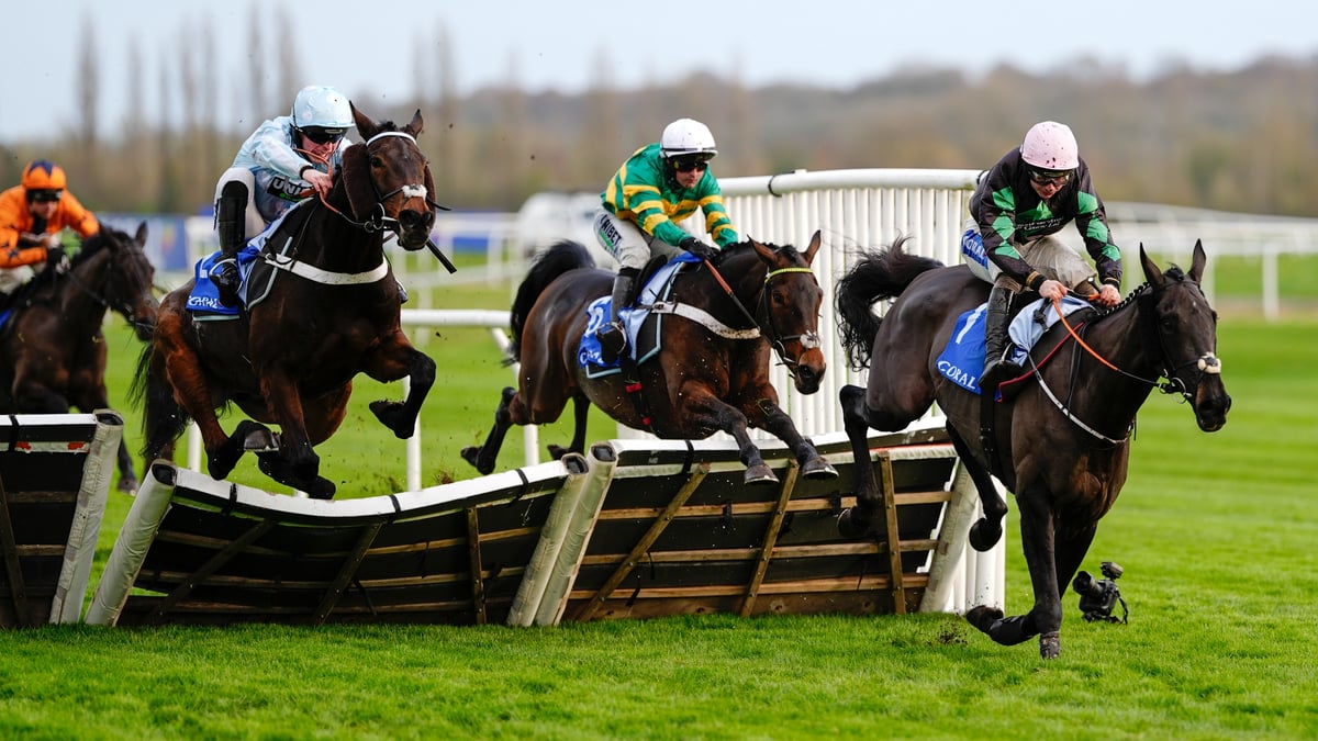 2025 Long Walk Hurdle Odds | Honesty Policy and Impose Toi top Ascot market