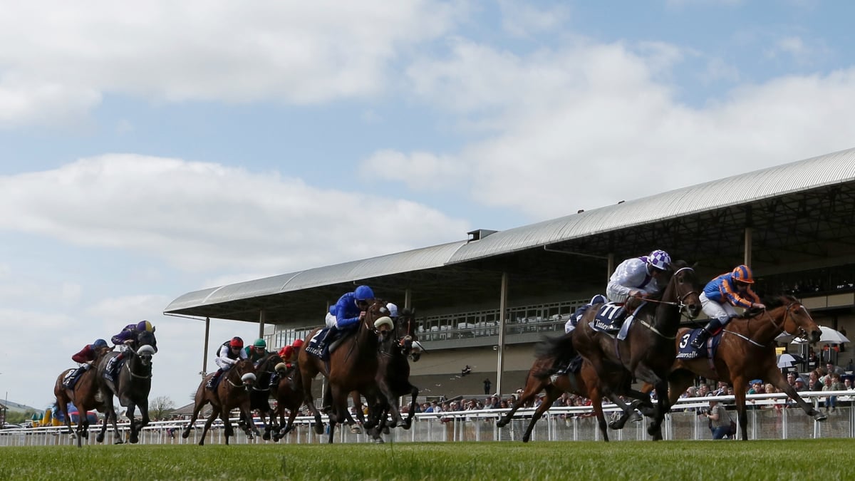 2026 Irish 1000 Guineas Live Stream | Watch the Curragh race online