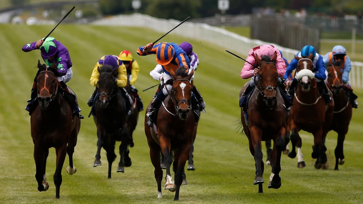 2026 Irish 2000 Guineas Live Stream | Watch the Curragh race online