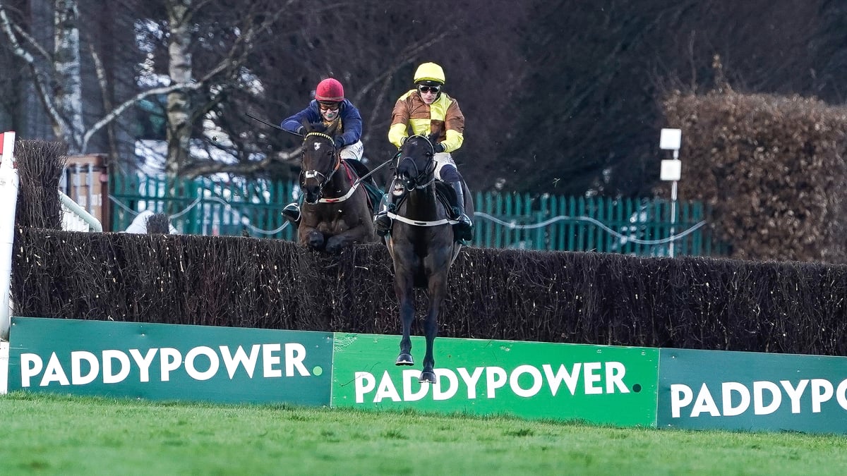 2026 Irish Gold Cup Live Stream | Watch the Leopardstown race online