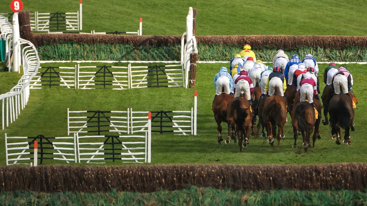Jack Richards Novices' Handicap Chase 2026 Tips: Predictions & Best Bets