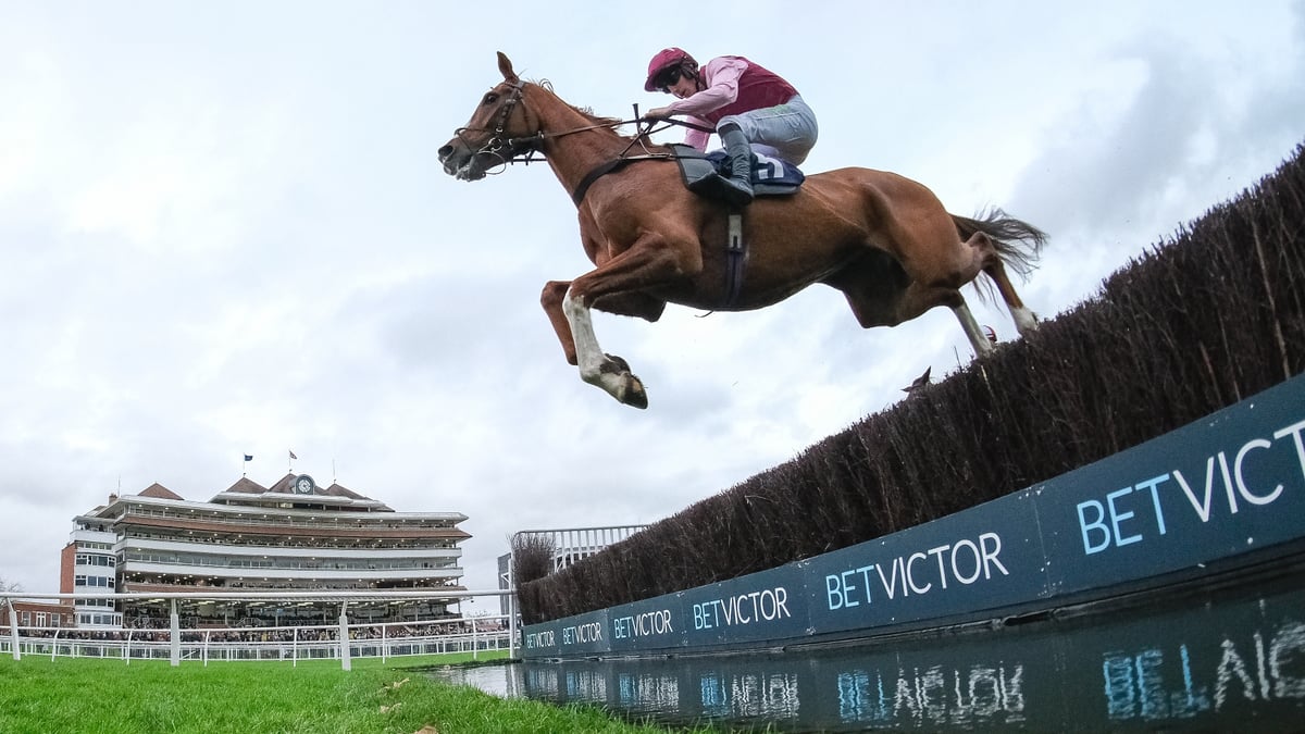 ITV Racing Tips on November 29th | Saturday's tips at Newbury and Newcastle