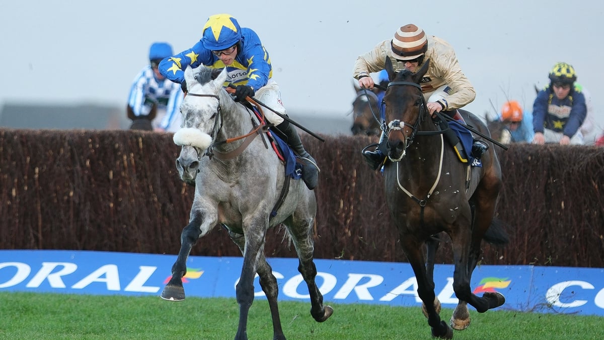2025 Coral Gold Cup Tips | Odds, trends and two selections for Newbury