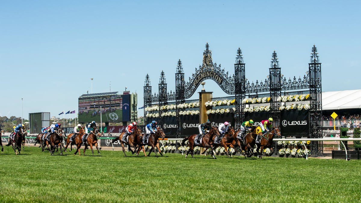 2025 Melbourne Cup Tips | Odds, draw and two roughie selections
