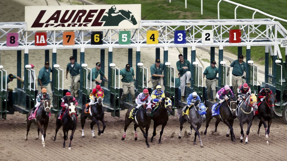 2026 Preakness Stakes Tips: Summers' star to go Solo at Laurel