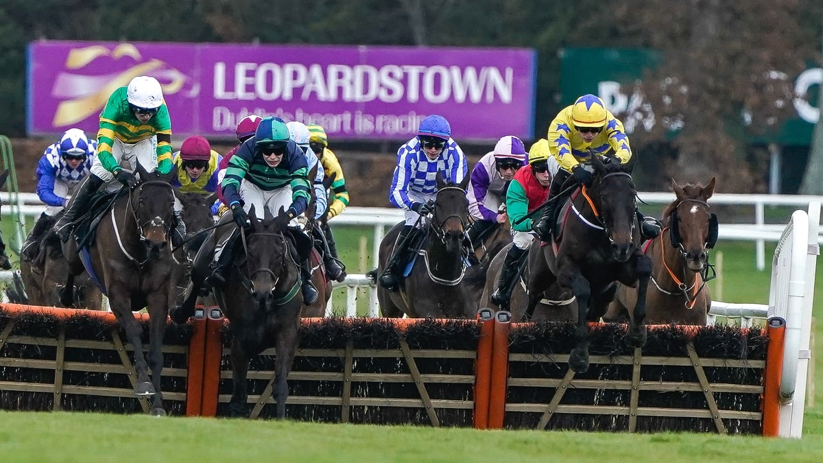 Dublin Racing Festival Tips | Leopardstown Tips on February 2nd