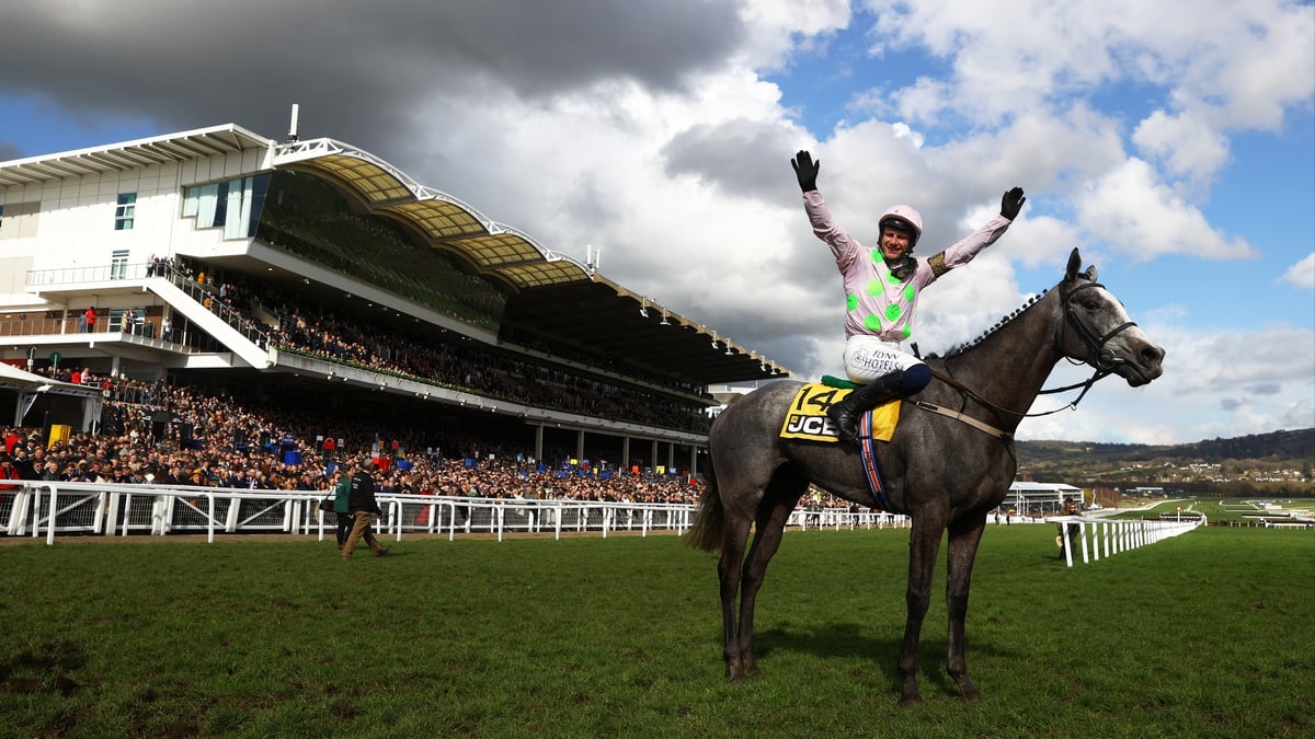 Cheltenham Day 1 Tips 2026: Best Bets for Champions' Day