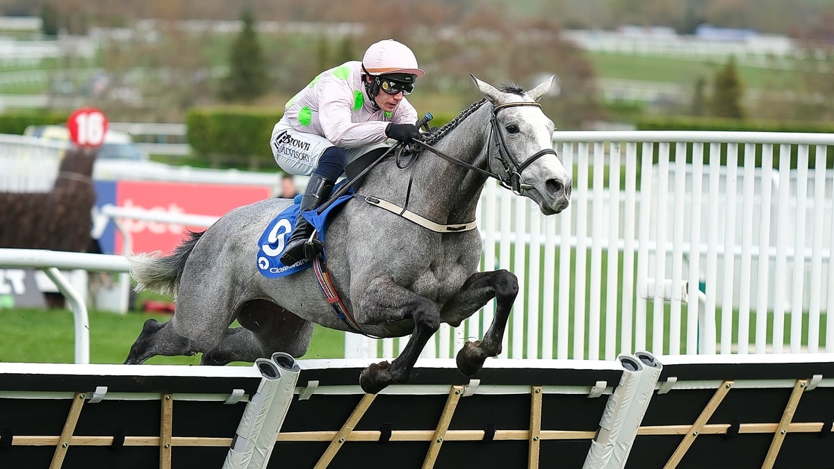 Cheltenham Festival 2026 Day 1 Declarations | Lossiemouth confirmed in ...