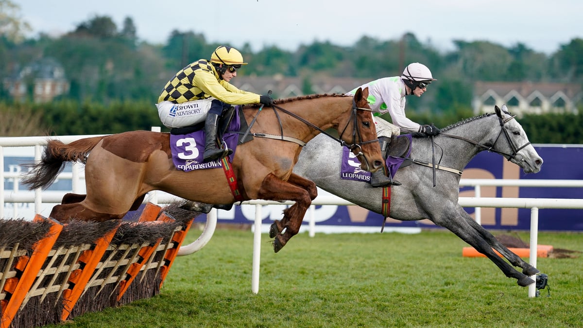2026 Irish Champion Hurdle Odds | Lossiemouth and Brighterdaysahead to ...
