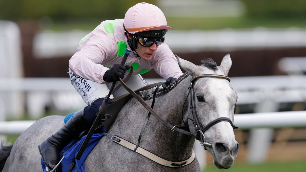2026 Irish Champion Hurdle Live Stream | Watch the Leopardstown race online