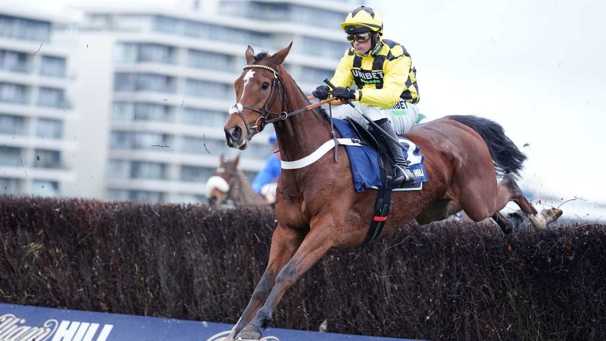 2026 Arkle Challenge Trophy Odds | Lulamba leads Kopek Des Bordes in ...
