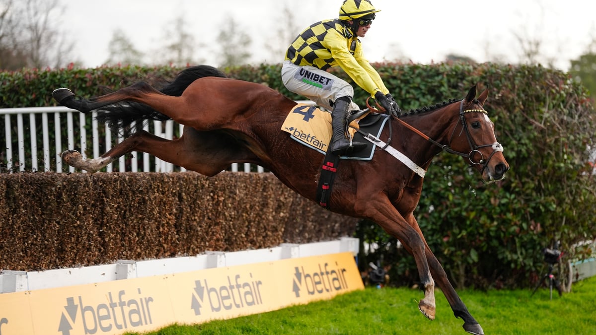 Newspaper Racing Tips on February 1st | Sober Glory, Haiti Couleurs and ...