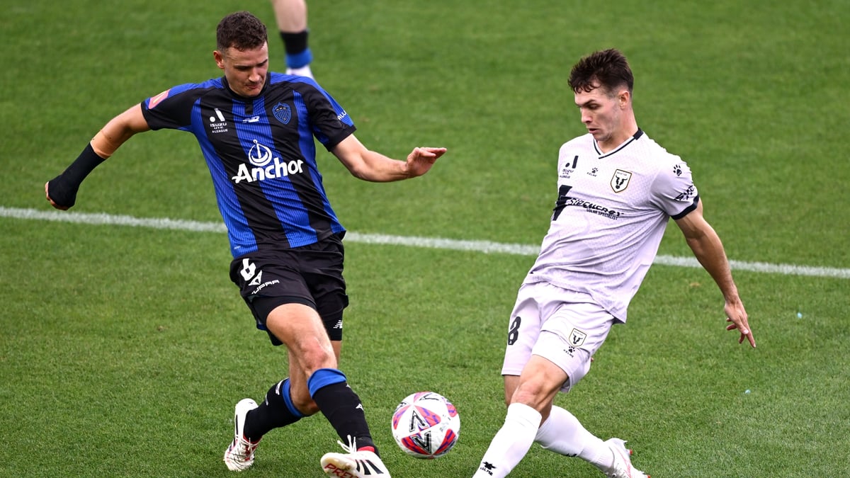 Macarthur FC vs Auckland FC Tips & Prediction - Bulls overpriced in A ...