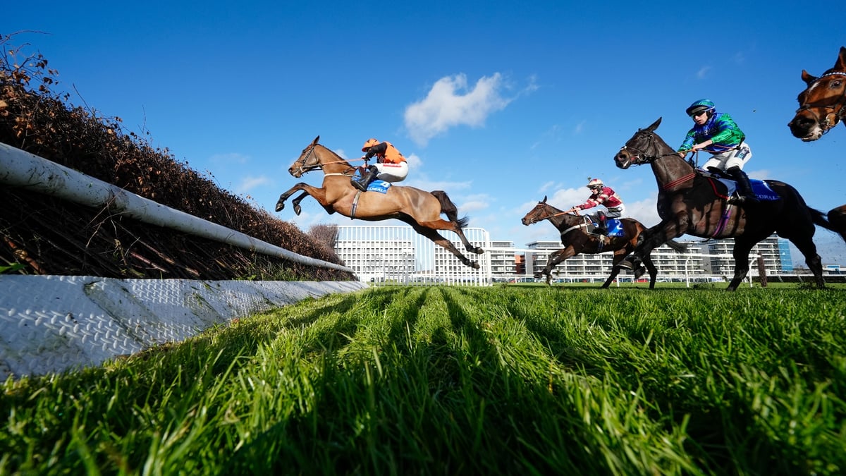 Newspaper Racing Tips on December 27th | Macktoad and Mambonumberfive ...