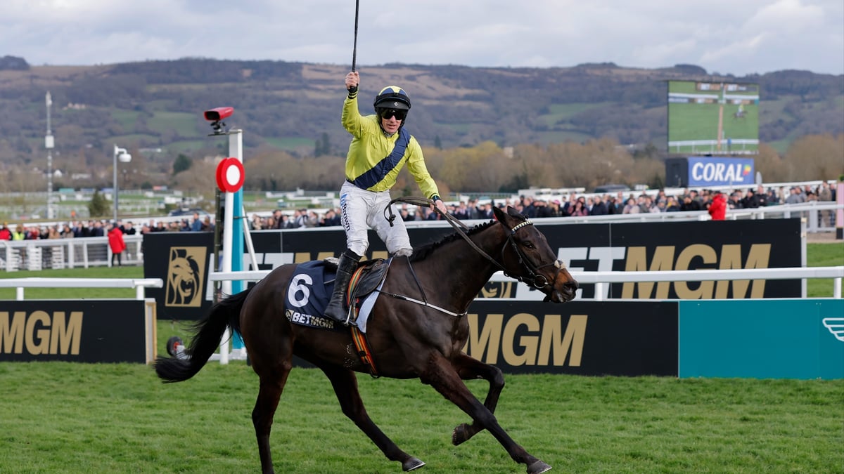 Racing News | Marine Nationale ruled out of Champion Chase defence