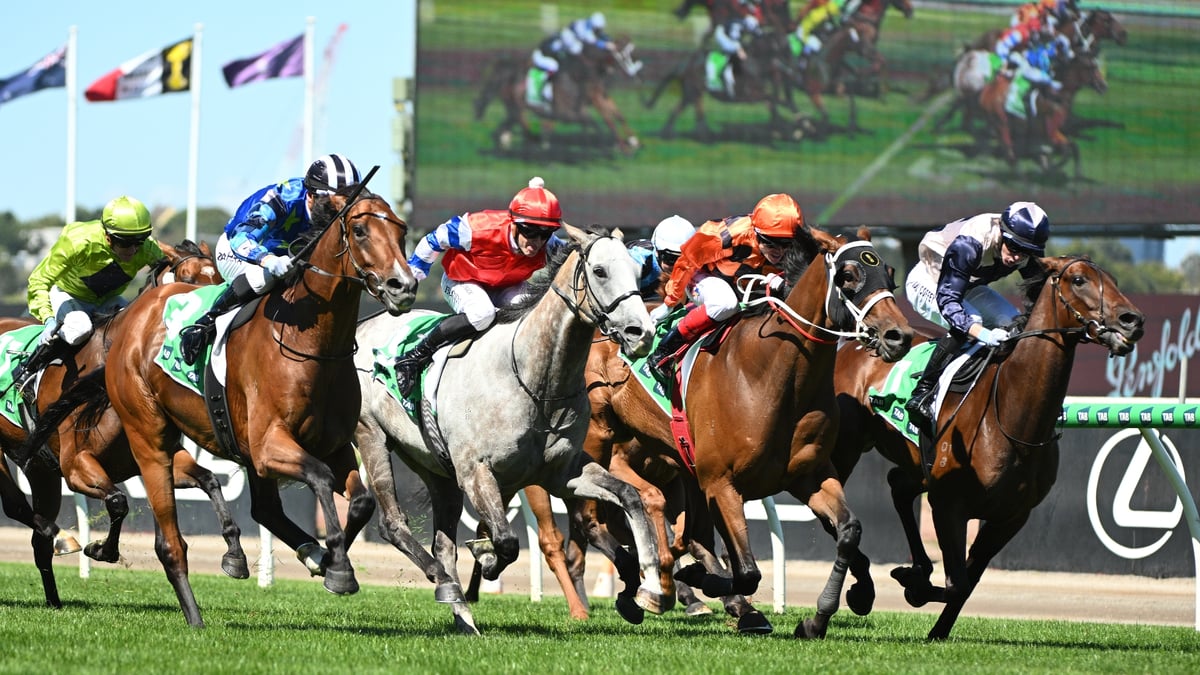 2025 Melbourne Cup Live Stream | Watch the race live from Flemington