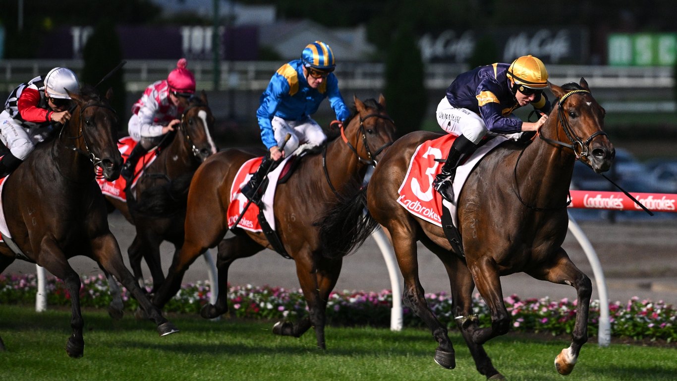 Moonee Valley Racing Tips for February 21- Newfoundland to be hard to ...