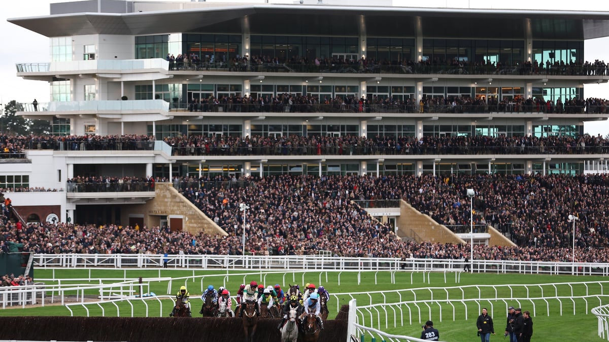 National Hunt Chase 2026 Tips: Predictions & Best Bets
