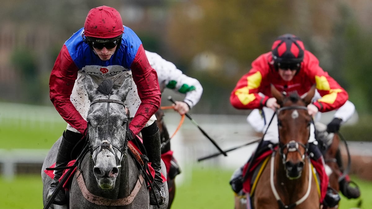 2025 Challow Hurdle Odds | No Drama This End odds-on to win first Grade One