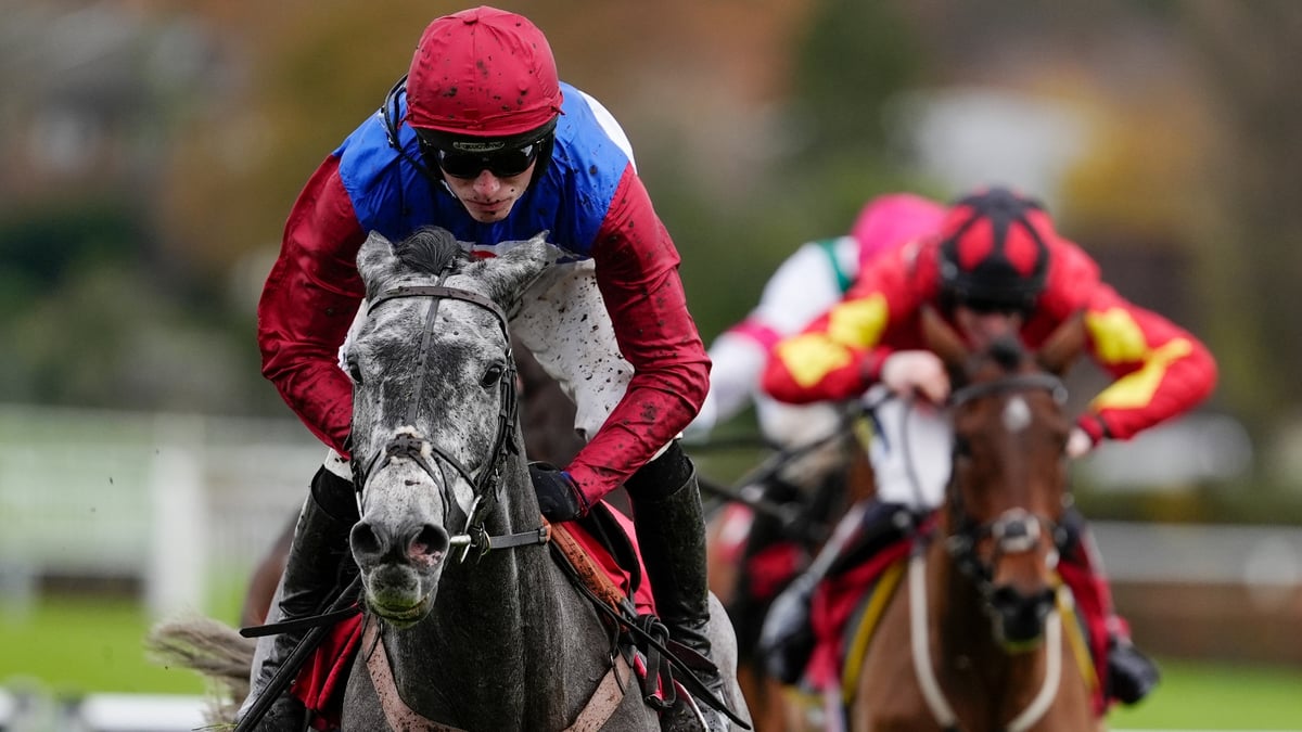 Newspaper Racing Tips on December 29th | Spindleberry, No Drama This ...