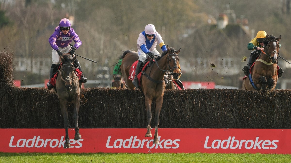 2026 Pendil Novices' Chase Odds | Jax Junior tops Kempton betting