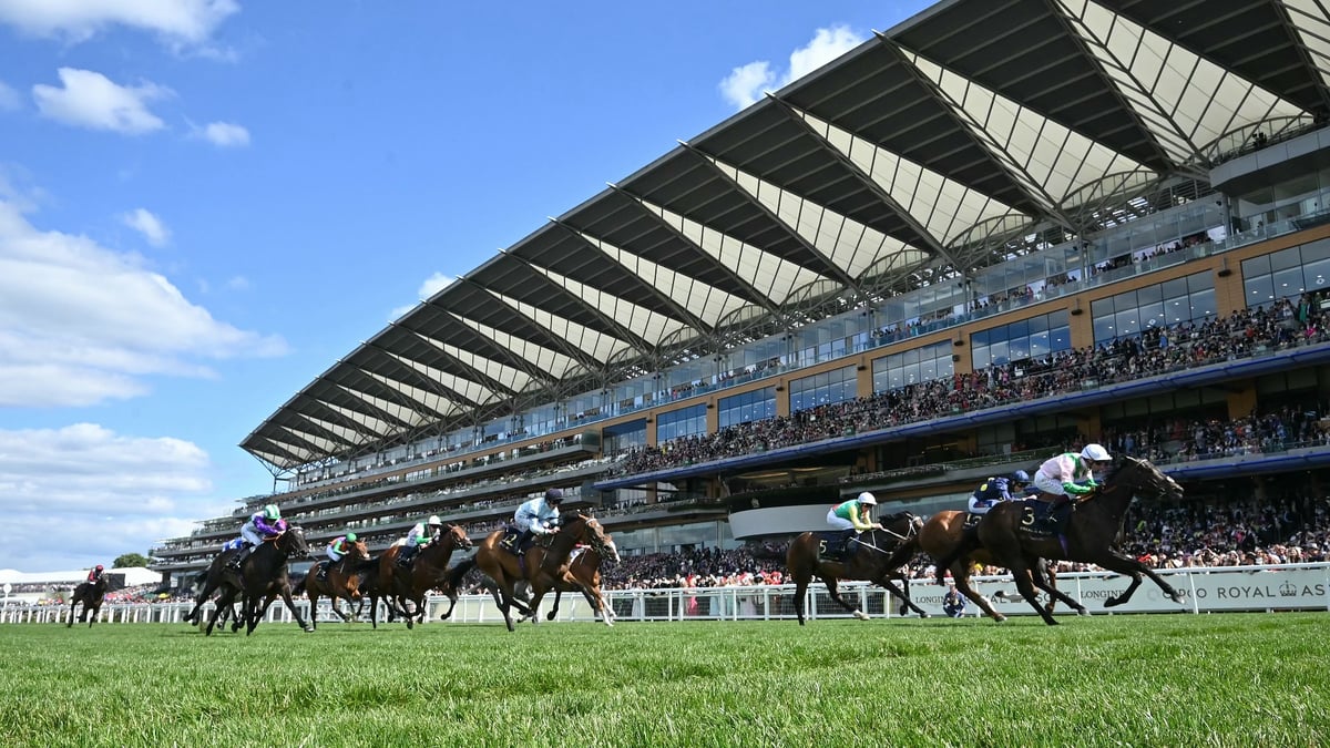 2025 Queen Elizabeth II Jubilee Stakes Odds | Lazzat heads ...