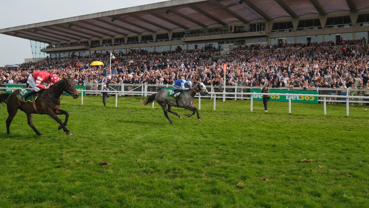 Grand National 2026 Scratchings: Resplendent Grey and Handstands among ...