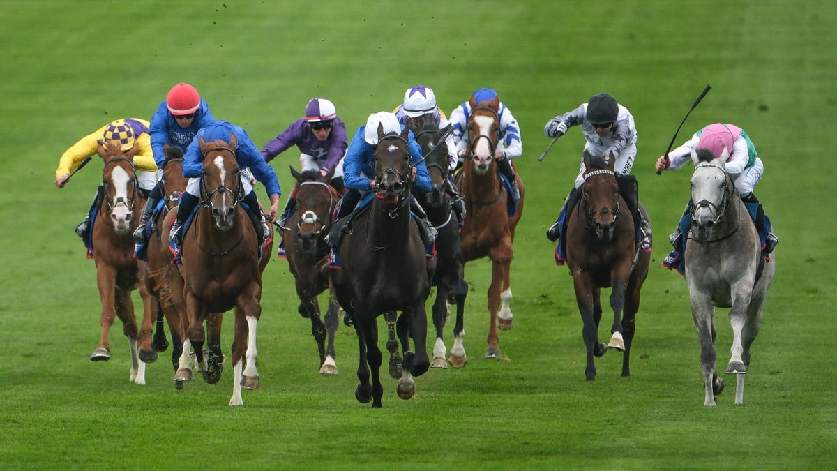 2025 Irish 2000 Guineas Odds | Field Of Gold odds-on for Classic ...