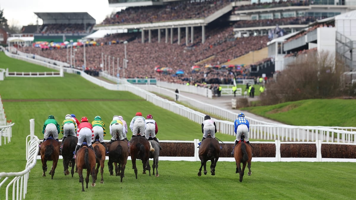 Supreme Novices' Hurdle 2026 Tips: Predictions & Best Bets