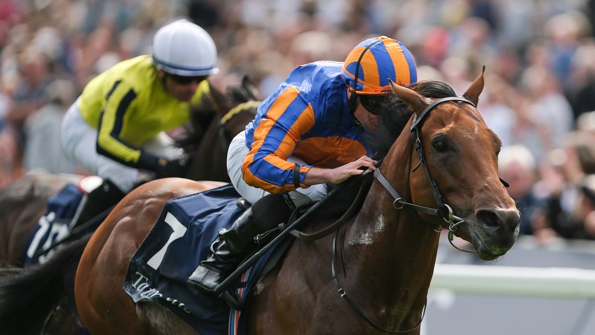 Racing News | The Lion In Winter back into Derby favouritism after ...
