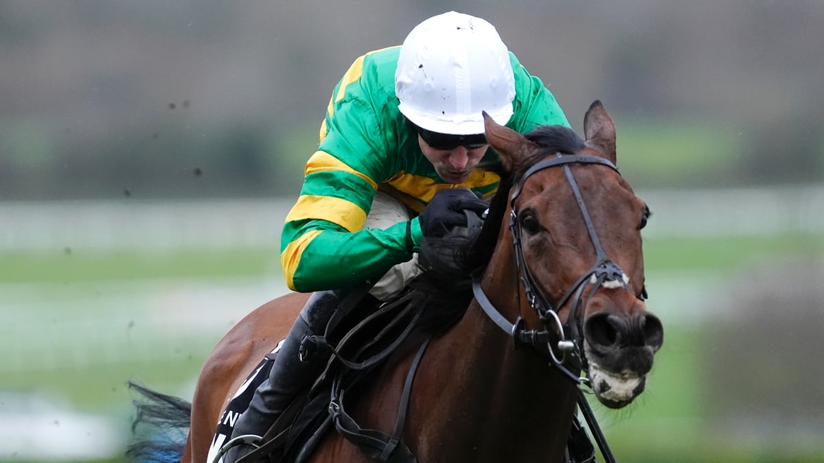 2026 Aintree Hurdle Odds: The New Lion leads Brighterdaysahead in ...