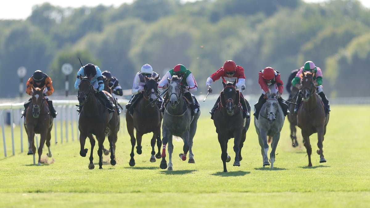 2025 Racing League | Teams, jockeys and fixture list
