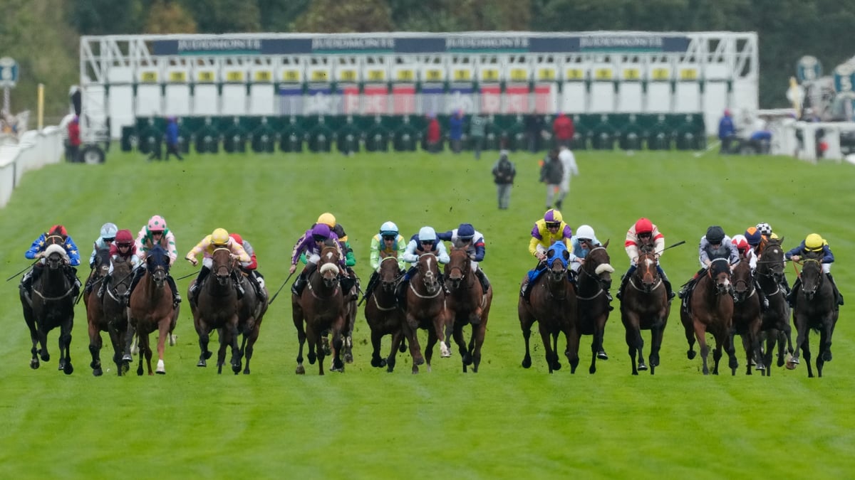 ITV Racing Tips on June 13th: Saturday's selections at York, Sandown ...