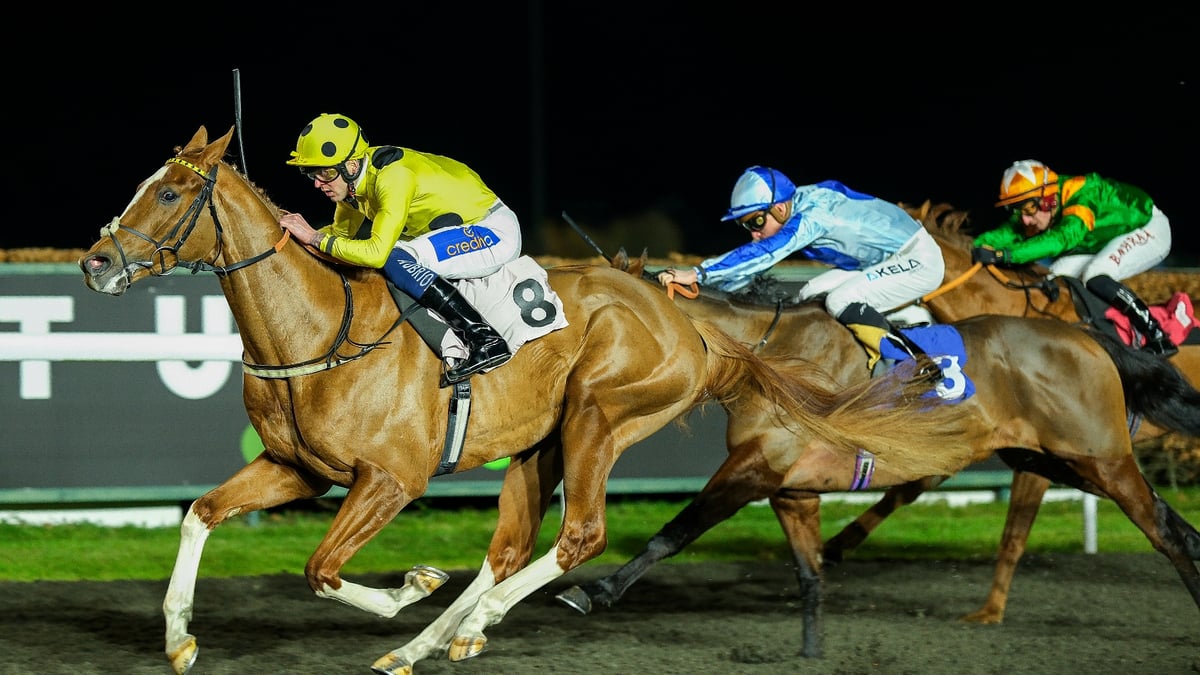 2025 Joel Stakes Tips | Burke's rising star can take down Godolphin hot-pot