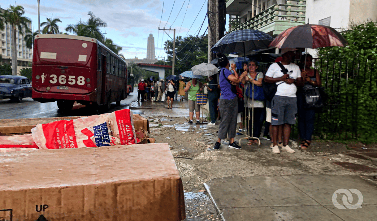 Programa Mundial de Alimentos en Cuba: ¿Qué revela su último informe ...