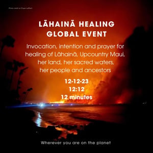 Lahaina Healing Global Event - White Wolf Journeys