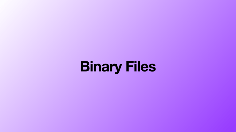 Binary Files