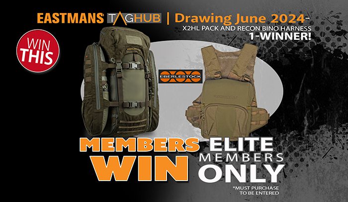 “Staggering Disease” Found In Colorado Mountain Lion