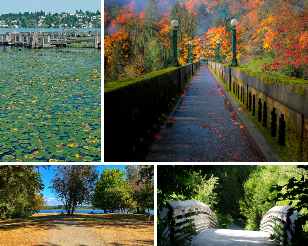 3 Parques en Seattle que te conectan con la bella naturaleza de WA ...