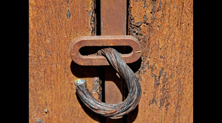 SERP