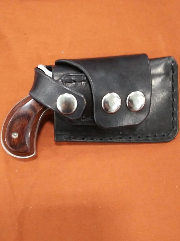 NAA Mini Revolver Holsters — University of Guns