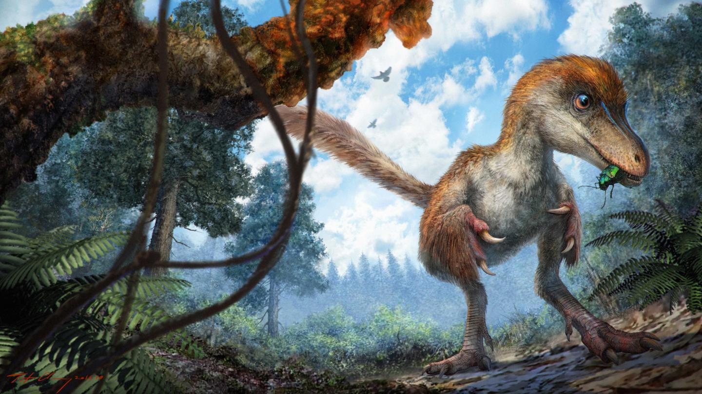 Study Puts Full Blame of Dinosaur Extinction Event on Asteroid, Not Volcanoes | Courthouse News ...