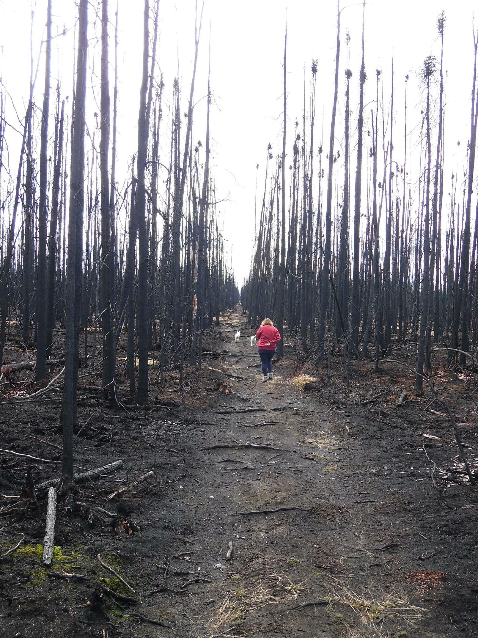 Trial Begins for Devastating Alaskan Wildfire | Courthouse News Service