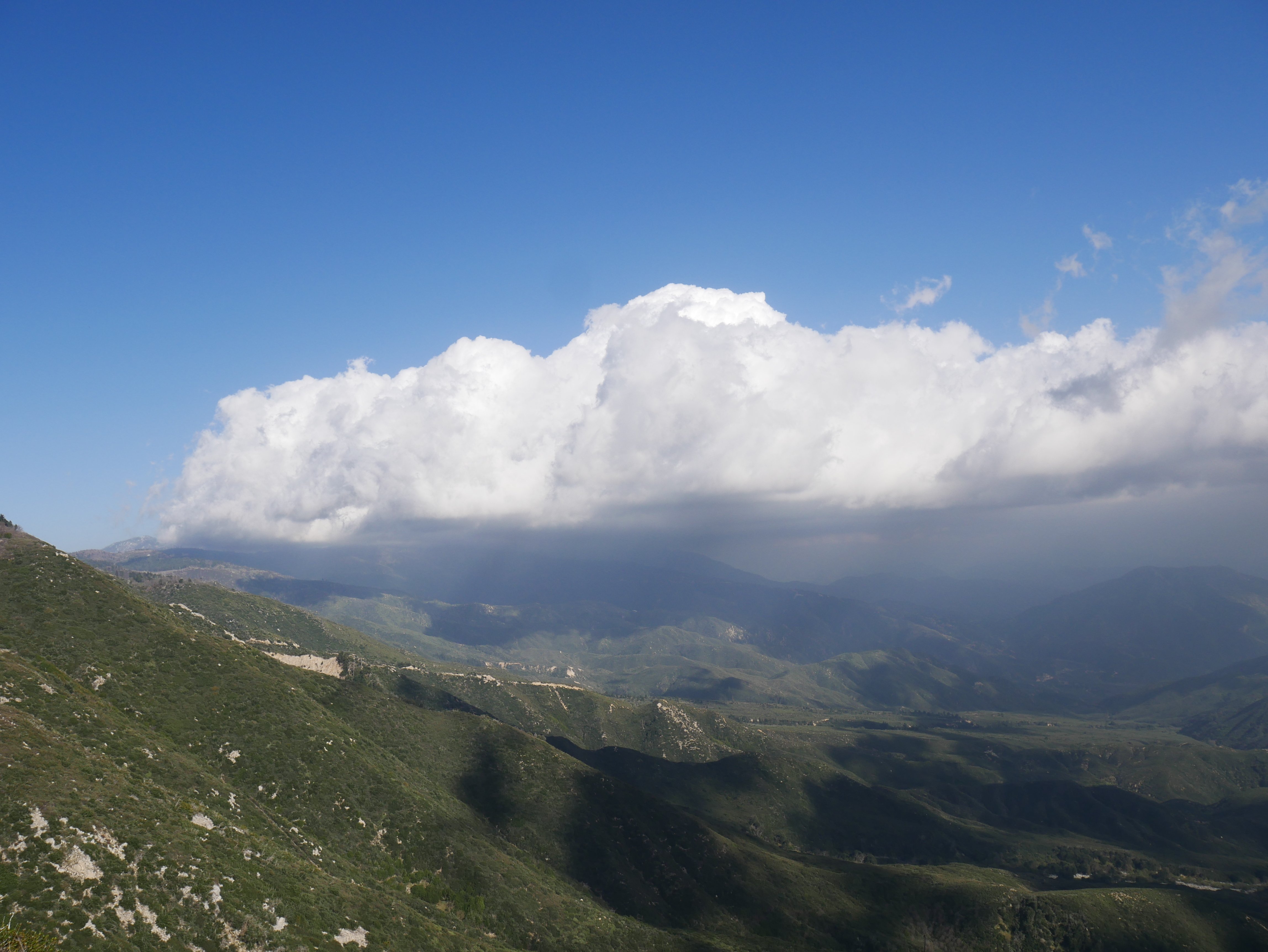 California Senators Unveil Conservation Plans for 1 Million Acres of ...