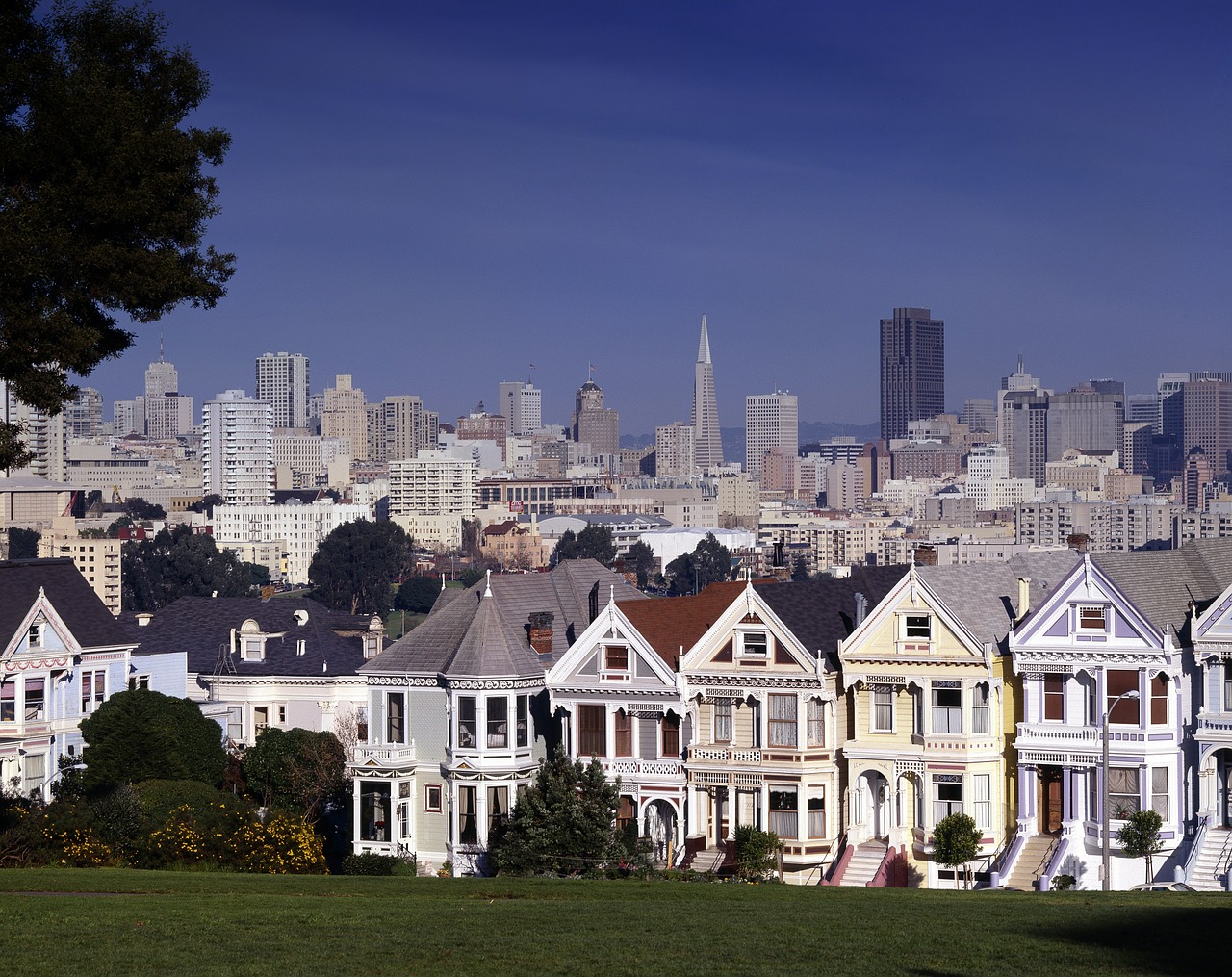 San Francisco Becomes First US City to Make Big Buildings Go Green ...