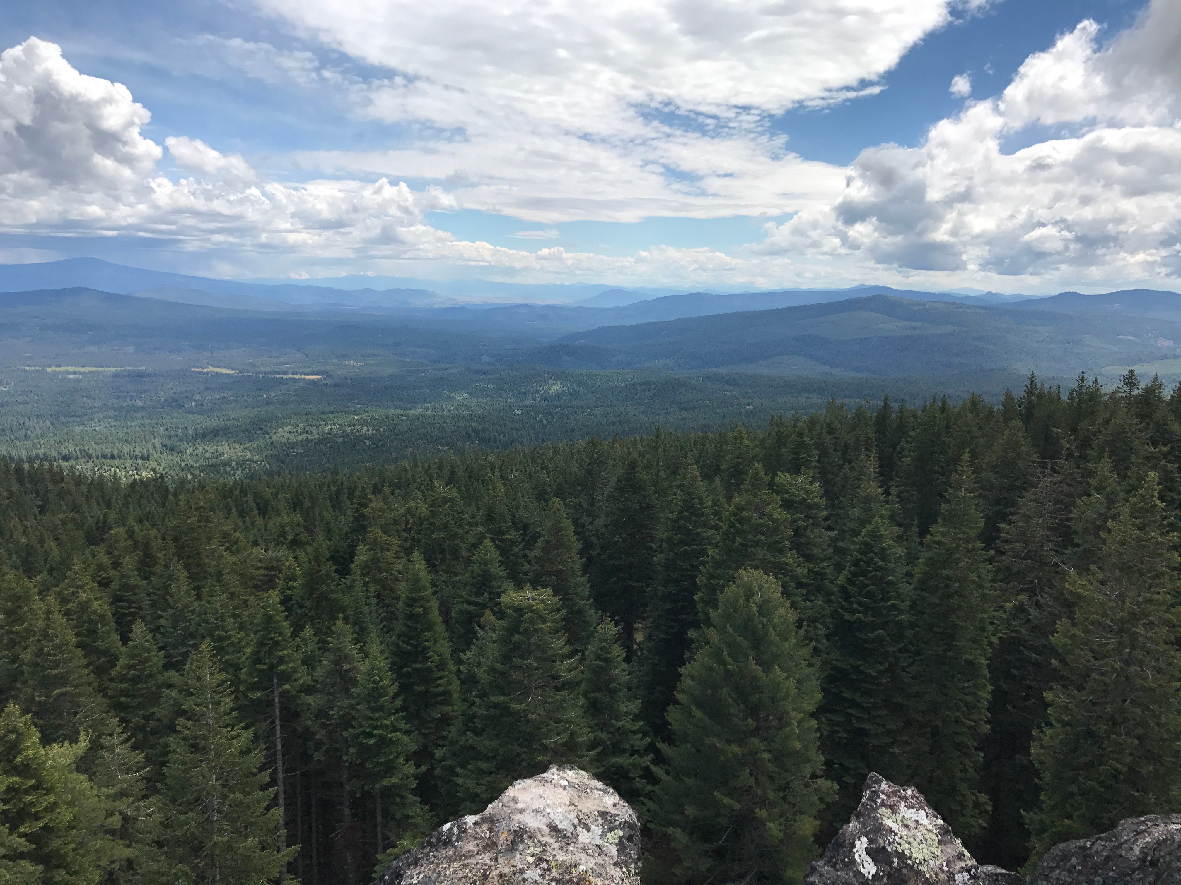 $1.4 Billion Trial Over Oregon Forest Management Kicks Off | Courthouse ...