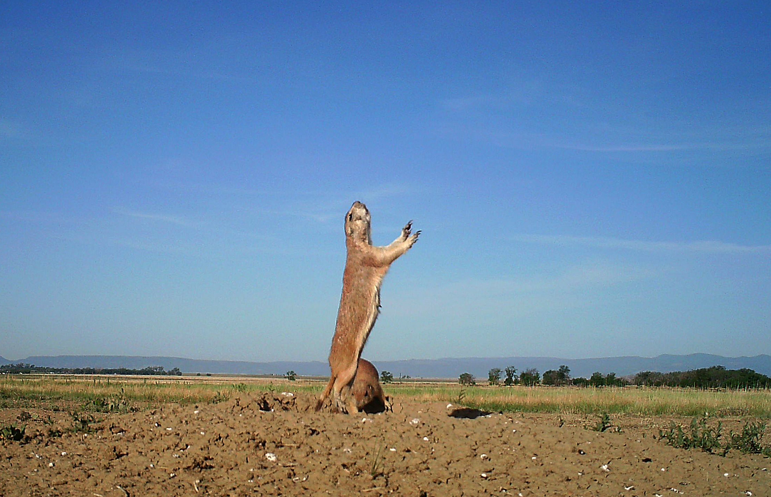 Federal judge buries Colorado environmental group’s third lawsuit ...