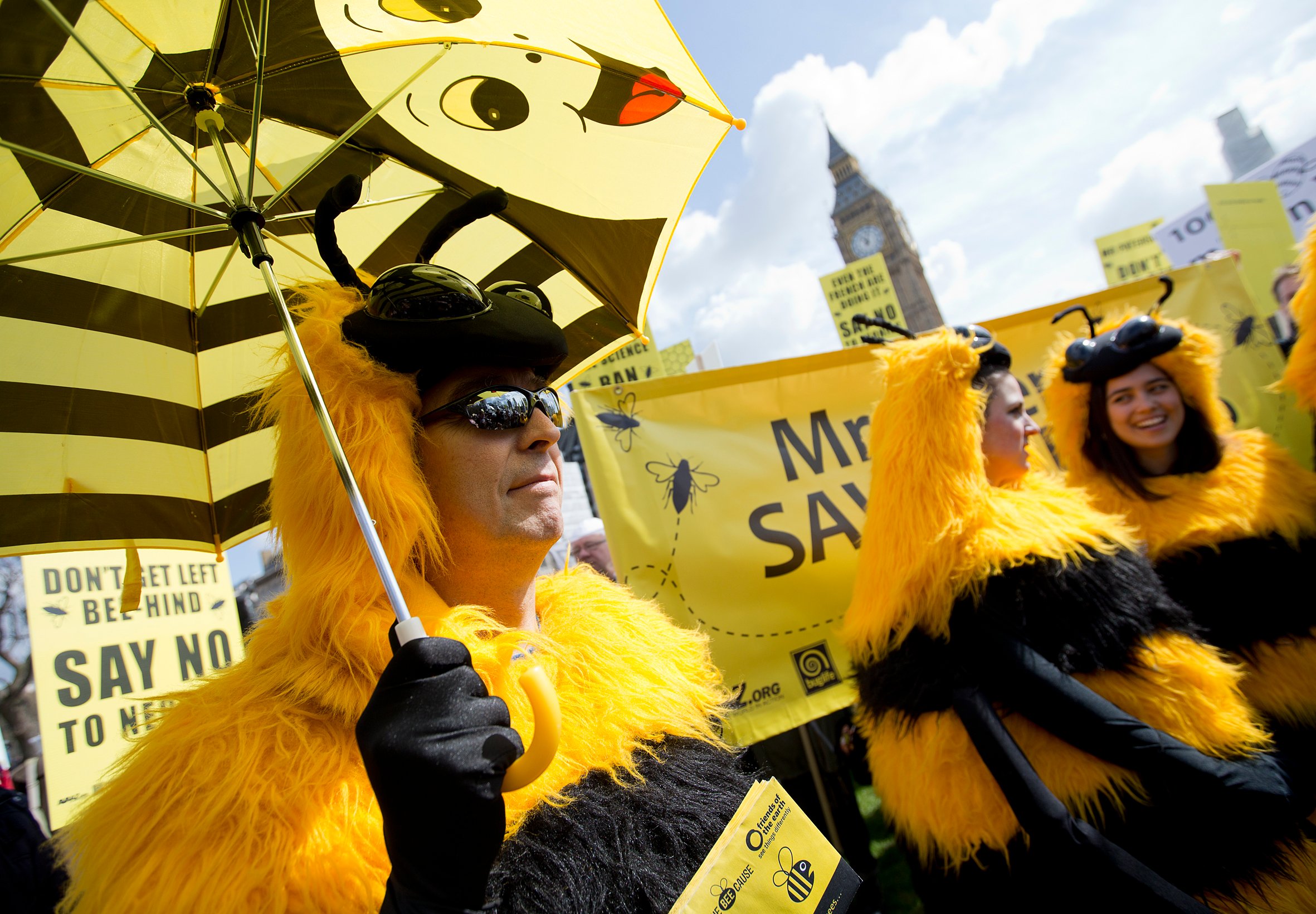 Top EU Court Swats Challenge to Bee-Protection Rules in France ...